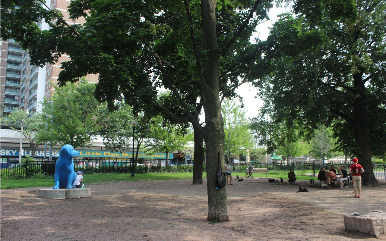 Which Dog Parks In Toronto Have Dedicated Small Dog Areas? - SYDE Road